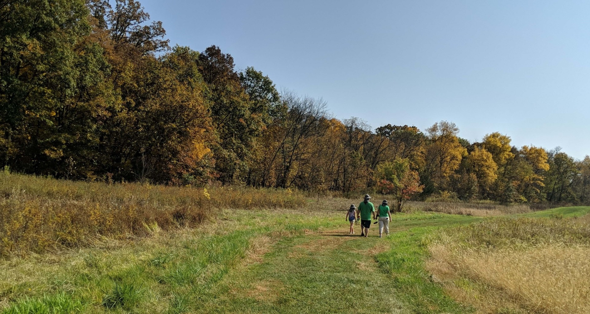 Fox Forest Wildlife Area - Conservation - Poweshiek County, Iowa